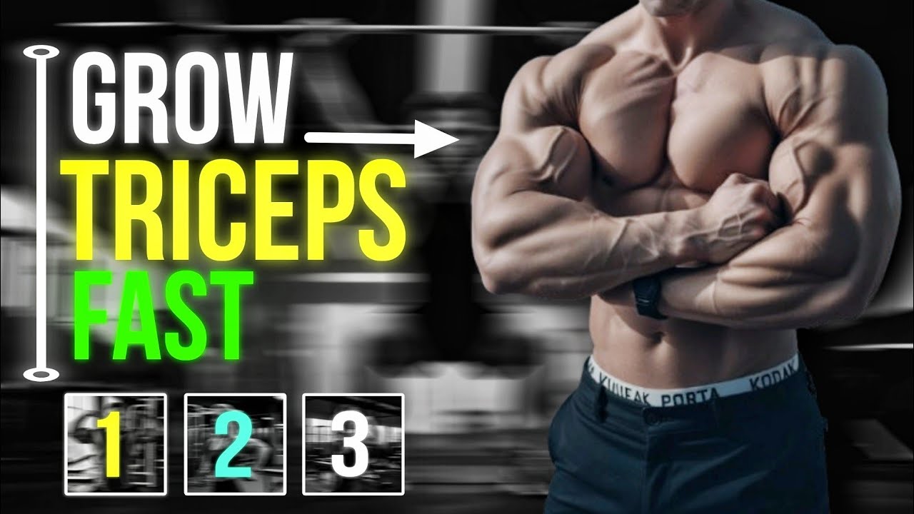 Best Tricep Workouts for Bigger Arms || Get Strong & Defined Triceps ...