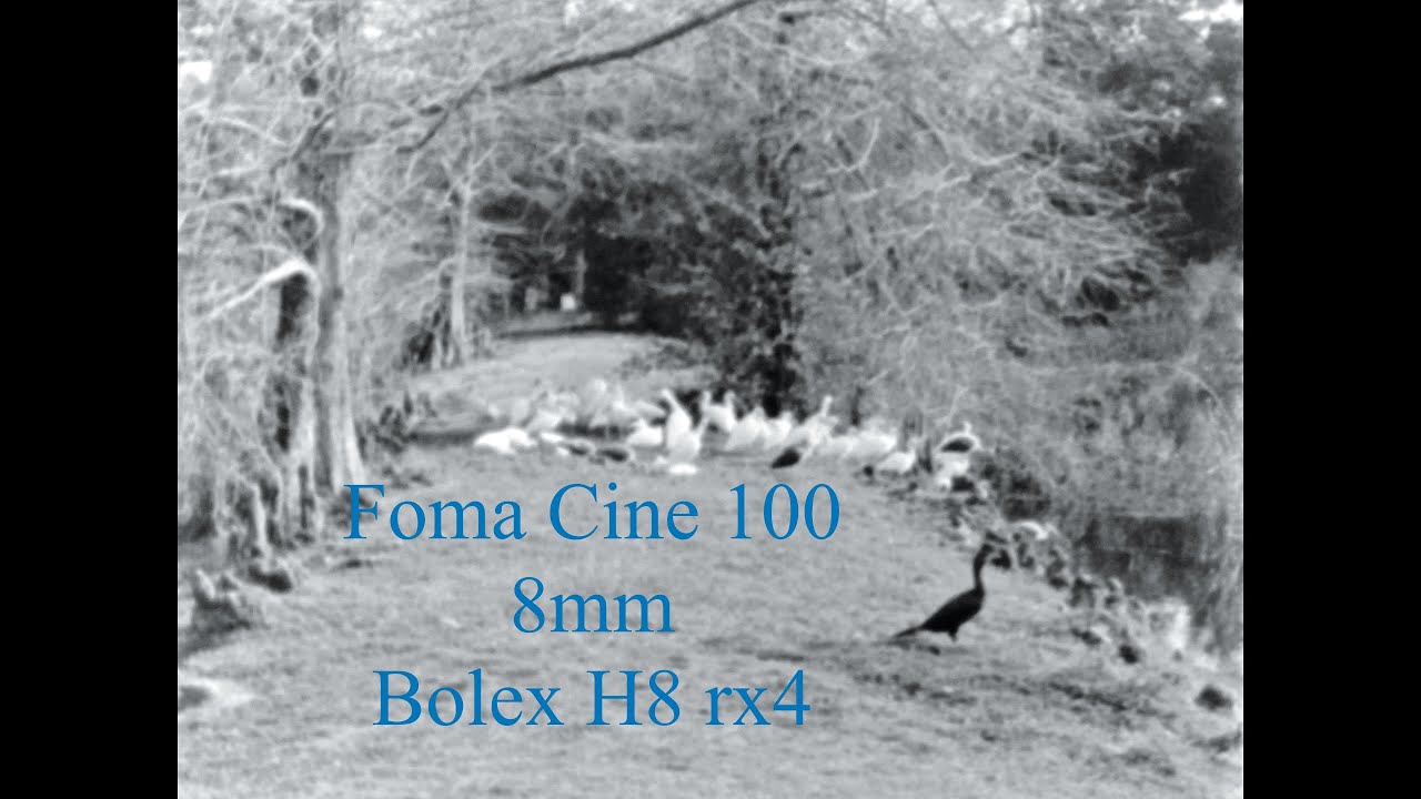 New!! Fomapan Cine Negative Bolex H8 Rx4 - YouTube