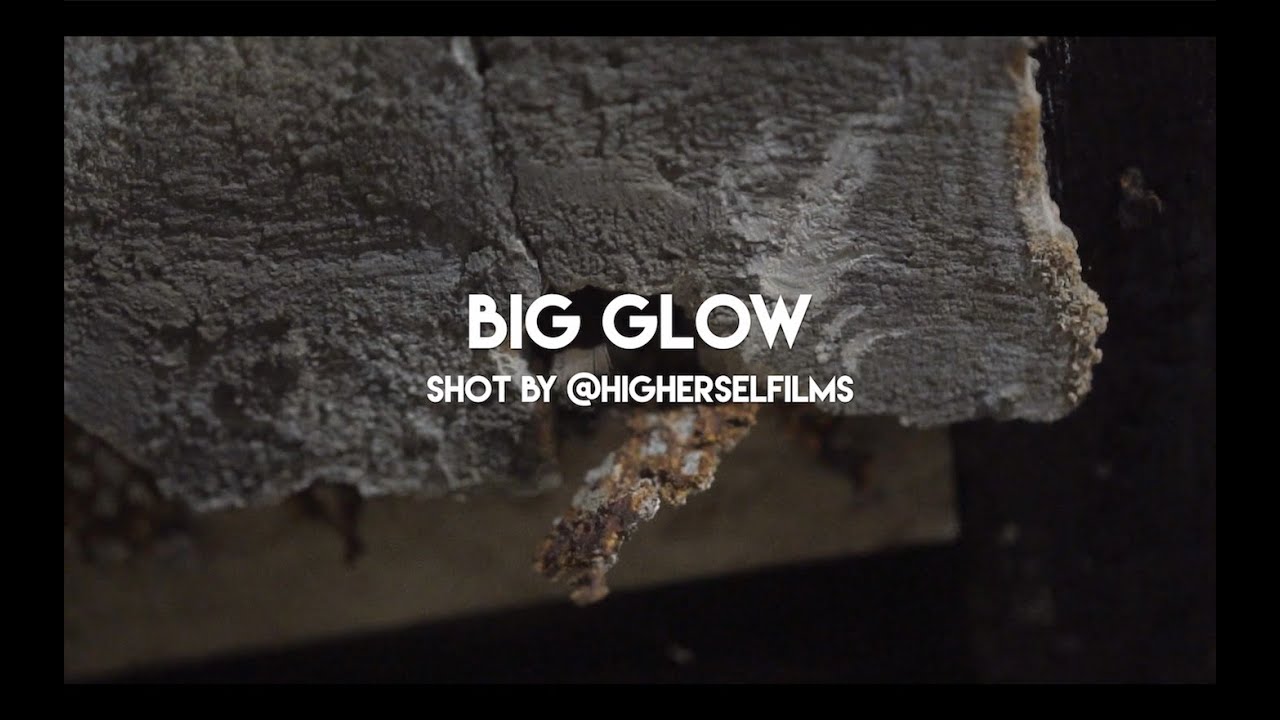 BIG GLOW - CRAZY(Official Video) Shot By @HigherSelfilms - YouTube