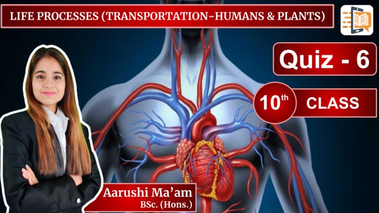 LIFE PROCESSES QUIZ-6 | TRANSPORTATION - HUMANS & PLANTS | CLASS 10th ...