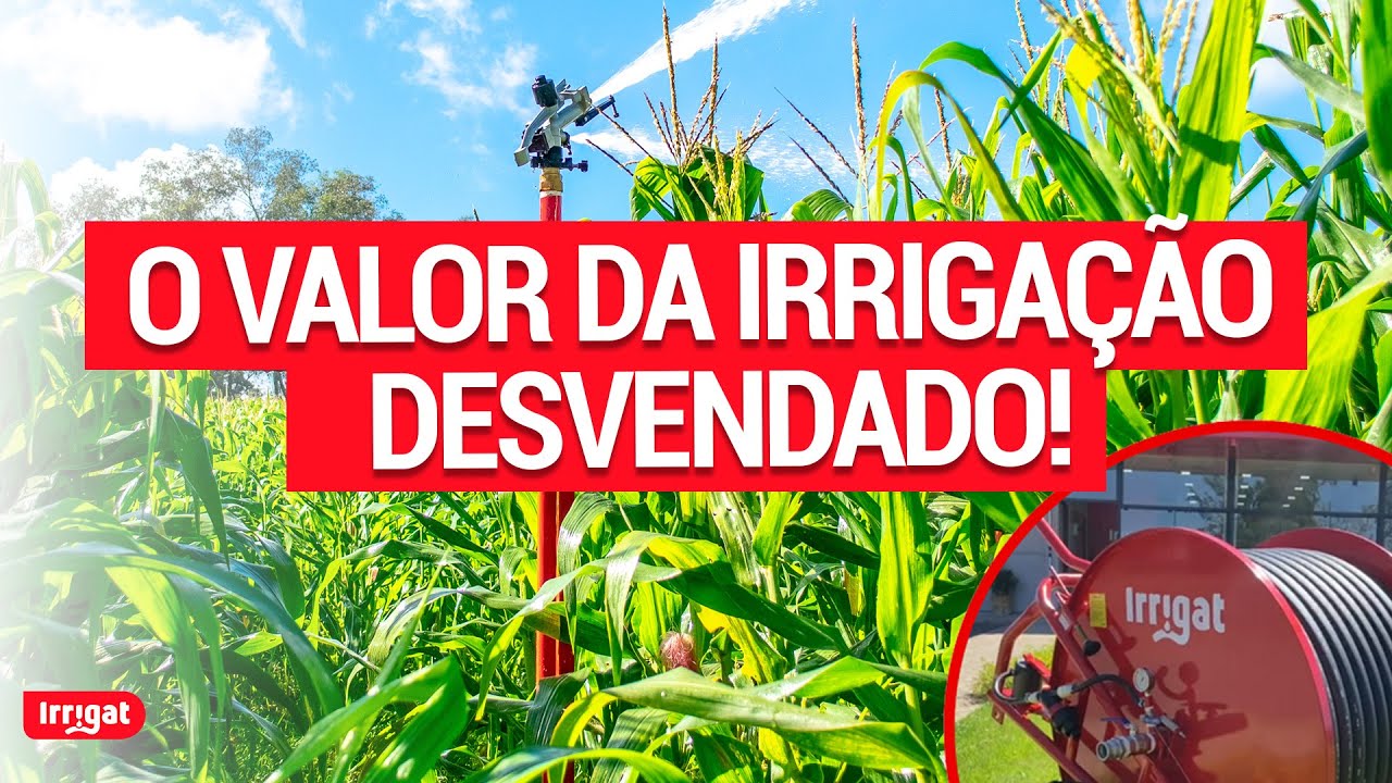 Fatores que Influenciam o Valor da Irrigação na sua Propriedade ...