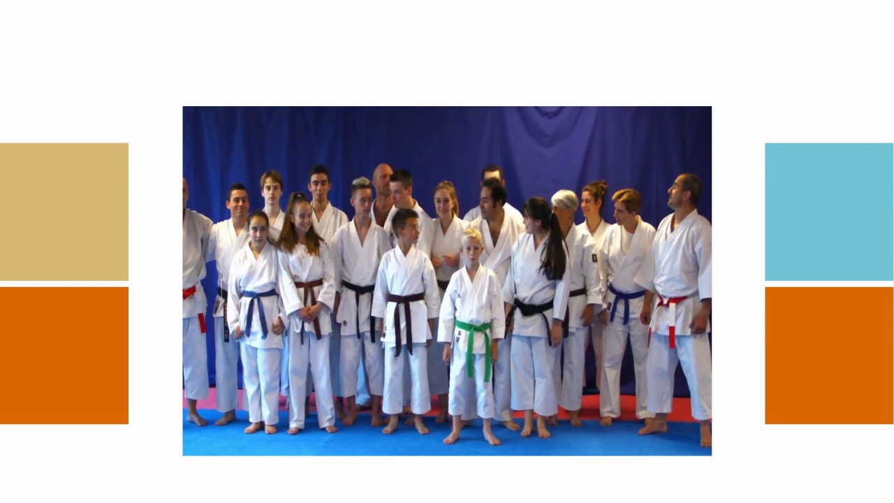 Stage karaté Laurent et Christophe Riccio - YouTube