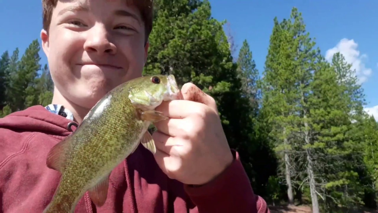 Smallmouth bass catch and cook ( ft. Golden State Fishing) - YouTube