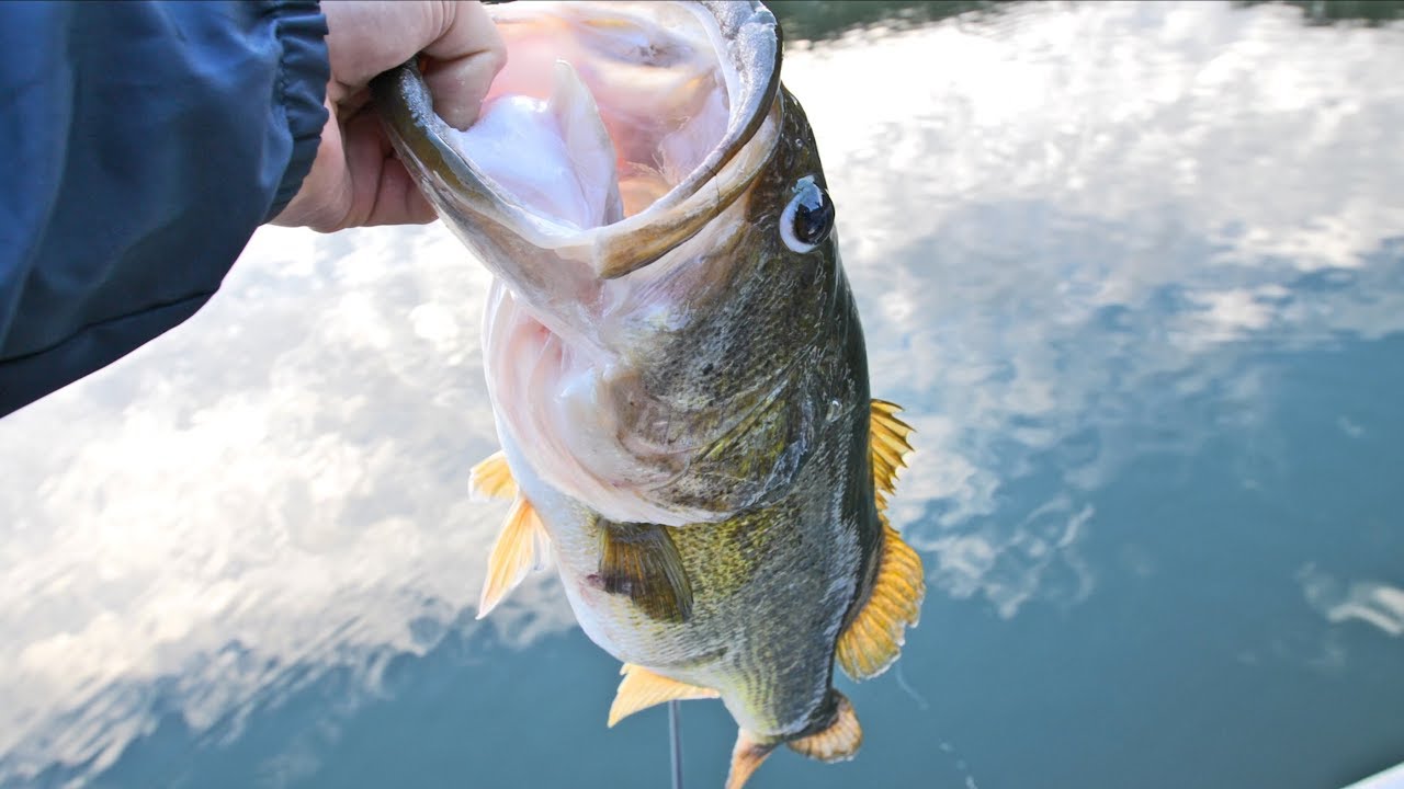 Fishing the Magic Bass Lake Again! - YouTube