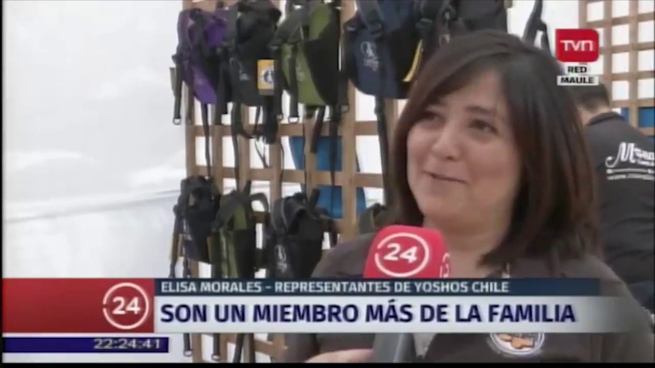 TVN Chile - Mochila para perros Yoshos Dog - YouTube