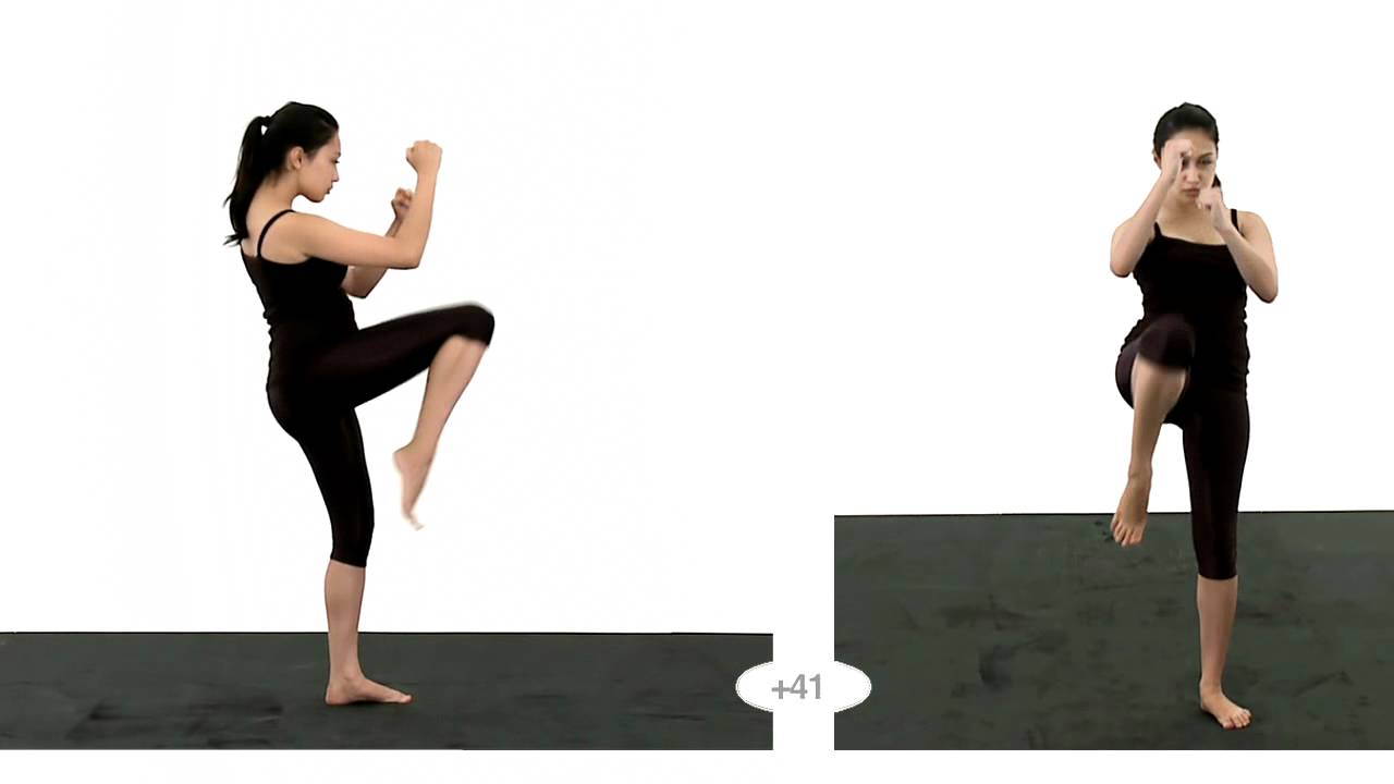 Front Snap Kick High: Young Adult Female: Realtime - Animation ...