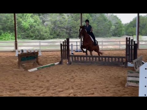 Horse Riding Cantering Jumping with 🐴 Pie #cantering 🐴#equestrianlifestyle PLF Equestrian - YouTube