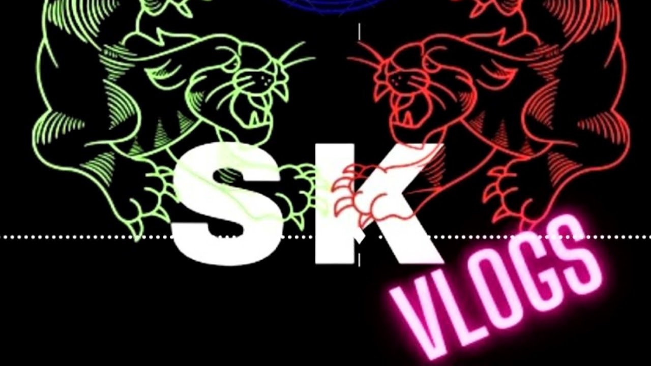 SK vlogs Live Stream - YouTube