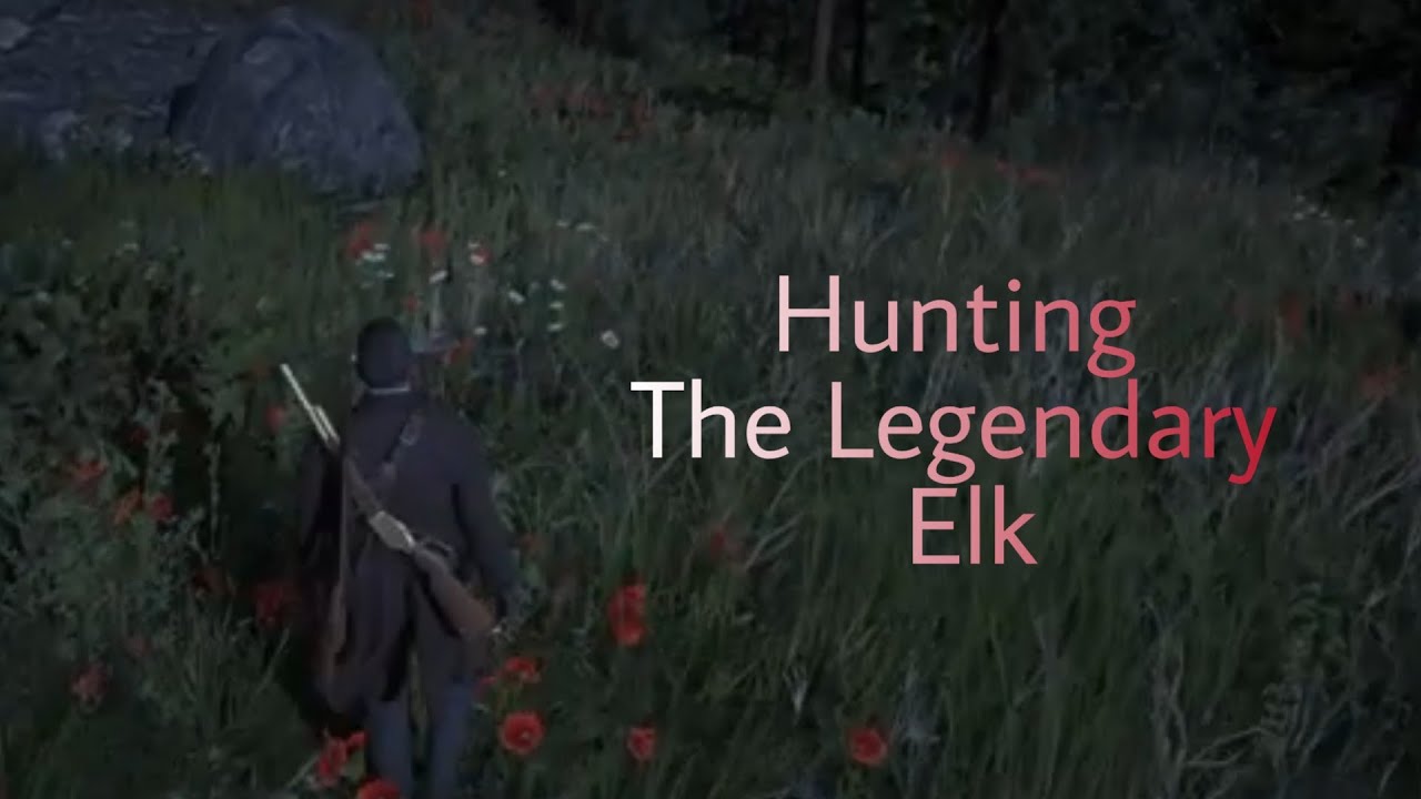 Red Dead Redemption 2 - Hunting the Legendary Elk - YouTube