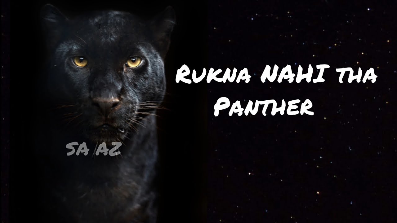 Panther - Rukna NAHI Tha Lyrics | MTV HUSTLE 2.0 Panther | SA AZ - YouTube