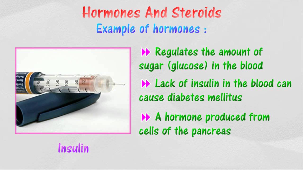 5 3 Modern Medicine Other Medicine YouTube 5-3-modern-medicine-other-medicine-youtube
