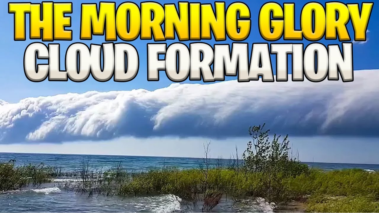 The Morning Glory Cloud | A Rare And Enormous Rolling Cloud Formation - YouTube