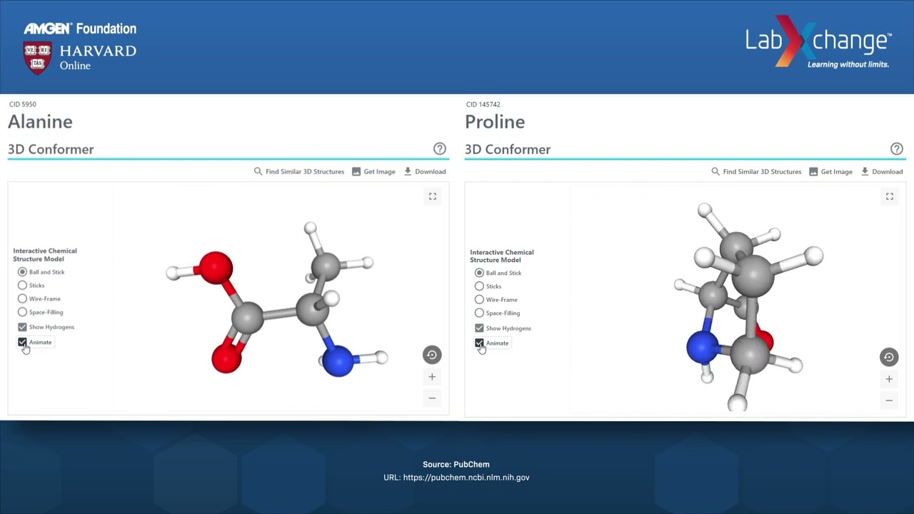 Proline Structure
