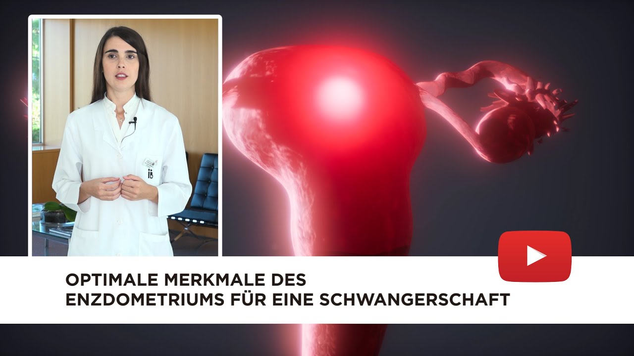 Optimale Merkmale des Endometriums für eine Schwangerschaft - YouTube