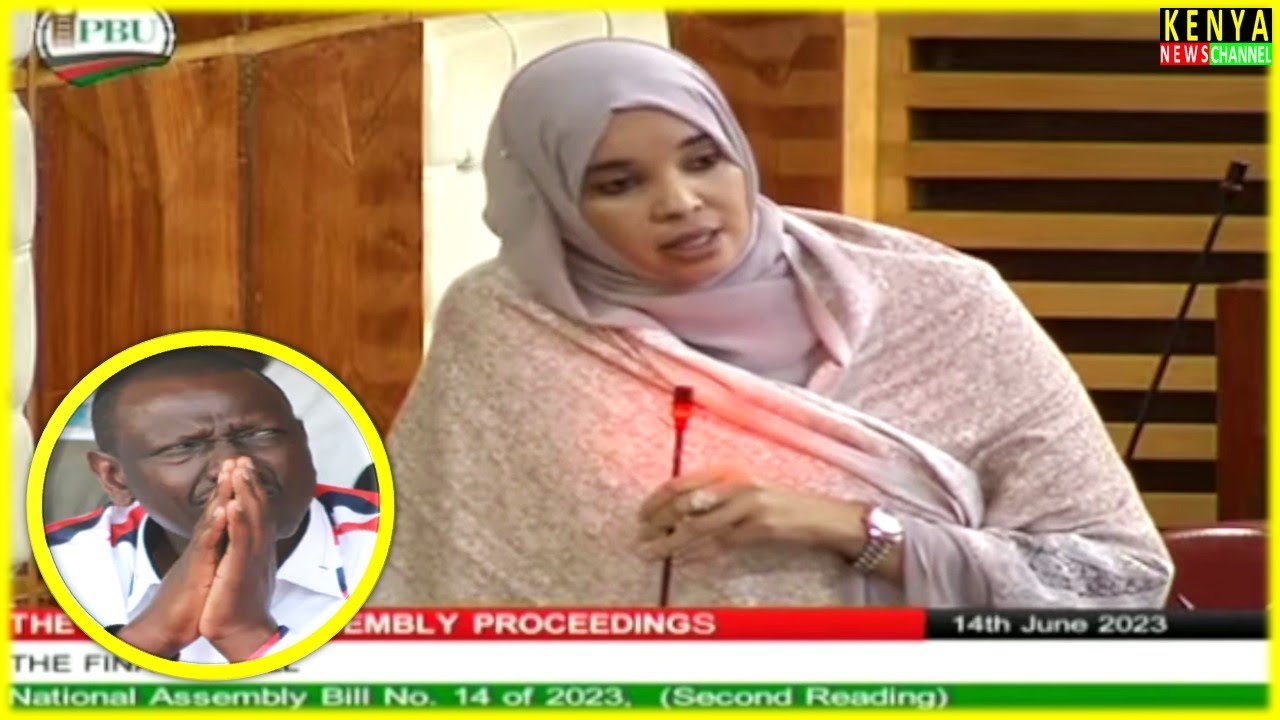 RUTO SHOCKED AS YOUNG MP FATUMA JEHOW DESTROYS FINANCE BILL IN ...