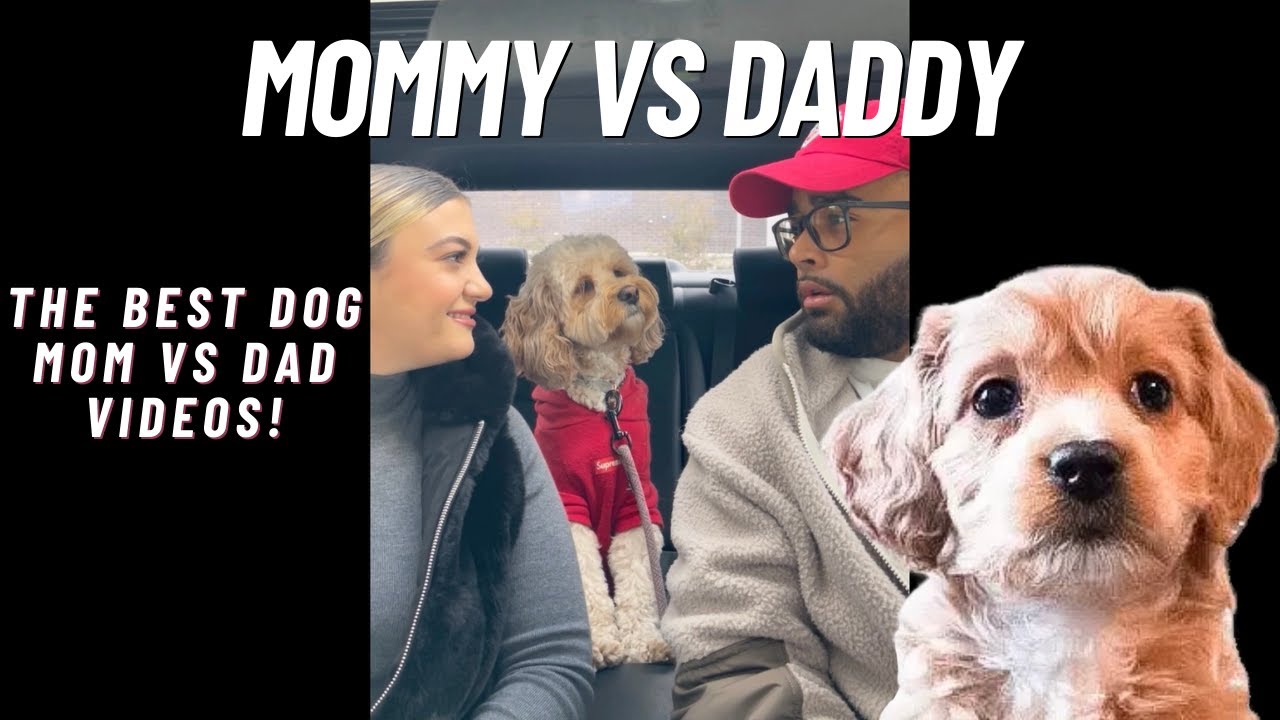 The Best Dog Mom vs Dad Videos! - YouTube