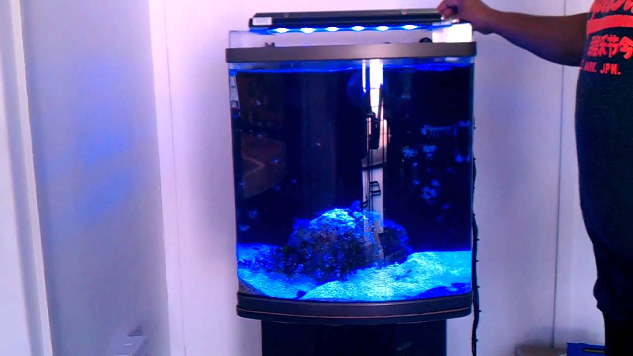 Nano Aquarium LED Lighting with controller - YouTube