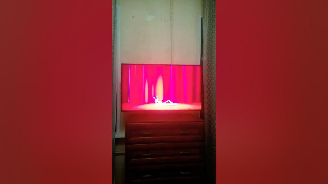 цыфравой цырк - YouTube