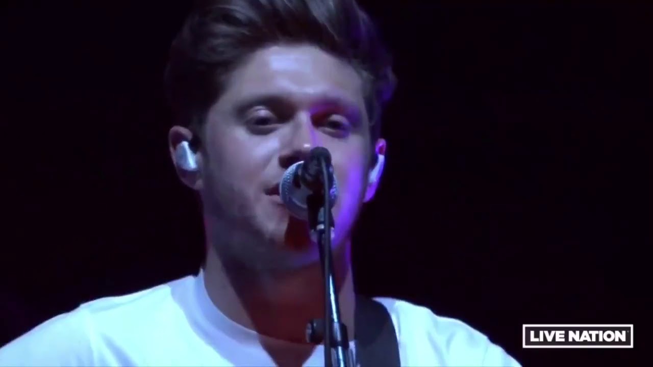 Niall Horan Crying At Concert