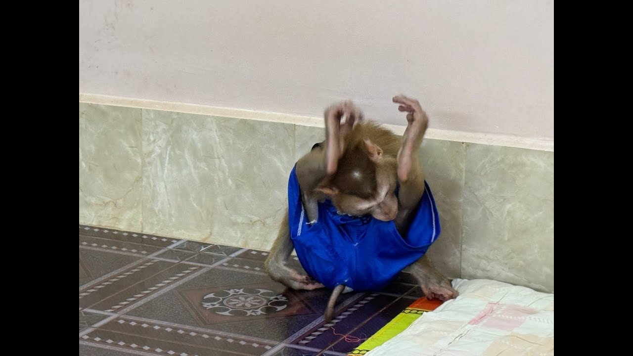 OMG!! WHAT IS BROTHER SOVAN PLAYING WITH HIMSELF? - YouTube