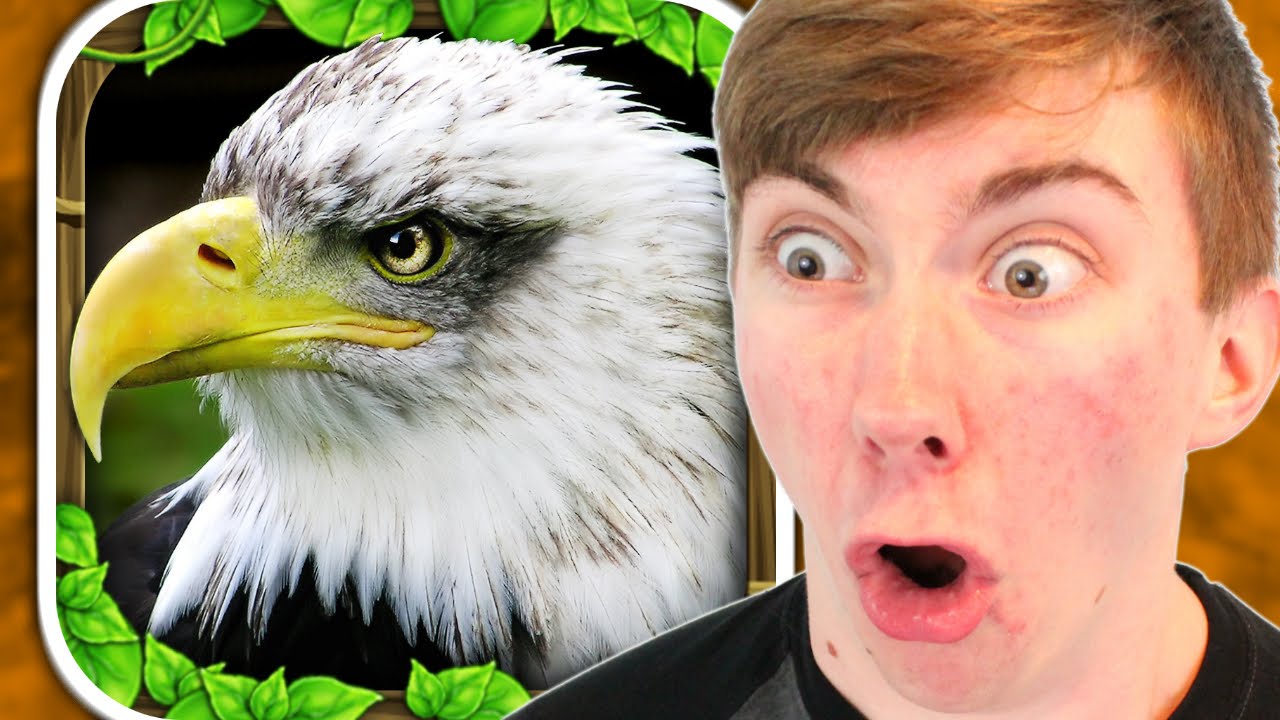 EAGLE SIMULATOR (iPhone Gameplay Video) - YouTube