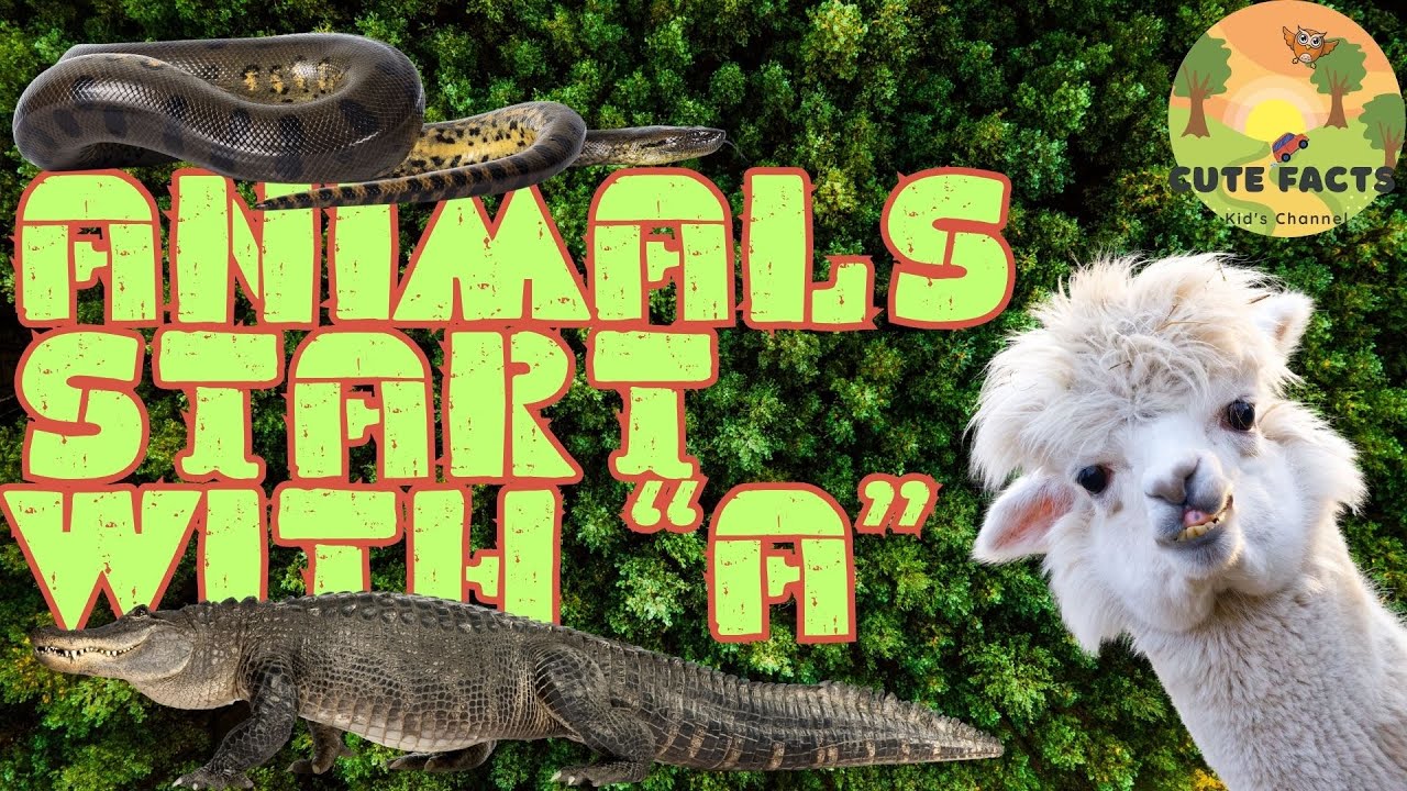 Animals in Alphabetical Order: The Ultimate A-Z Wildlife Compendium ...