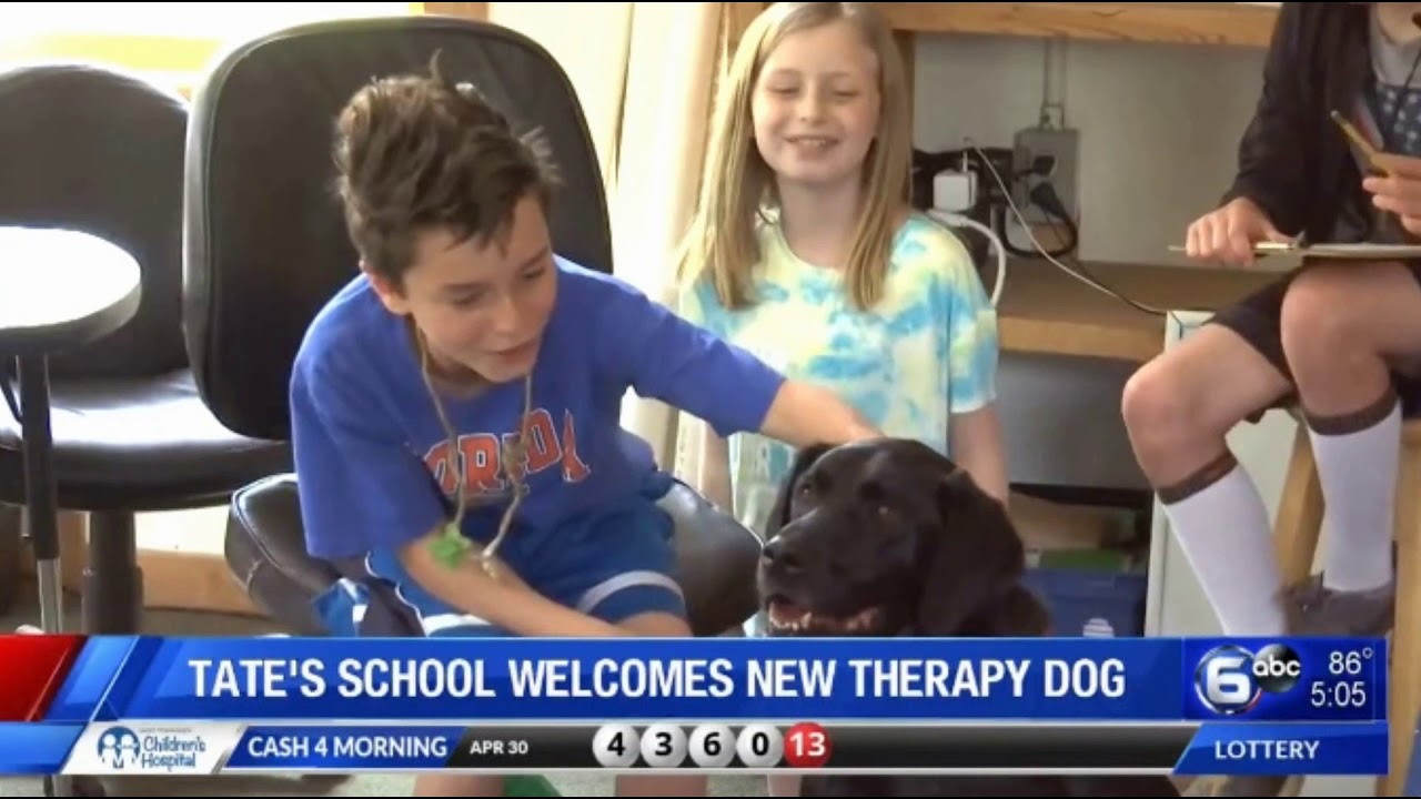 WATE: Tate's Welcome's Therapy Dog "Diesel" to Staff - YouTube