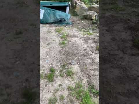 Melted porta potty - YouTube