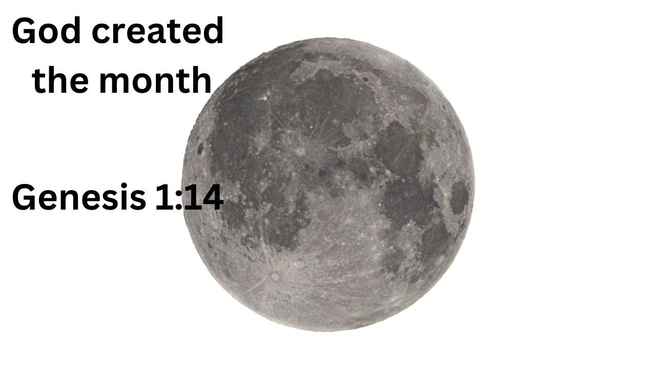 How did you do this month? - YouTube