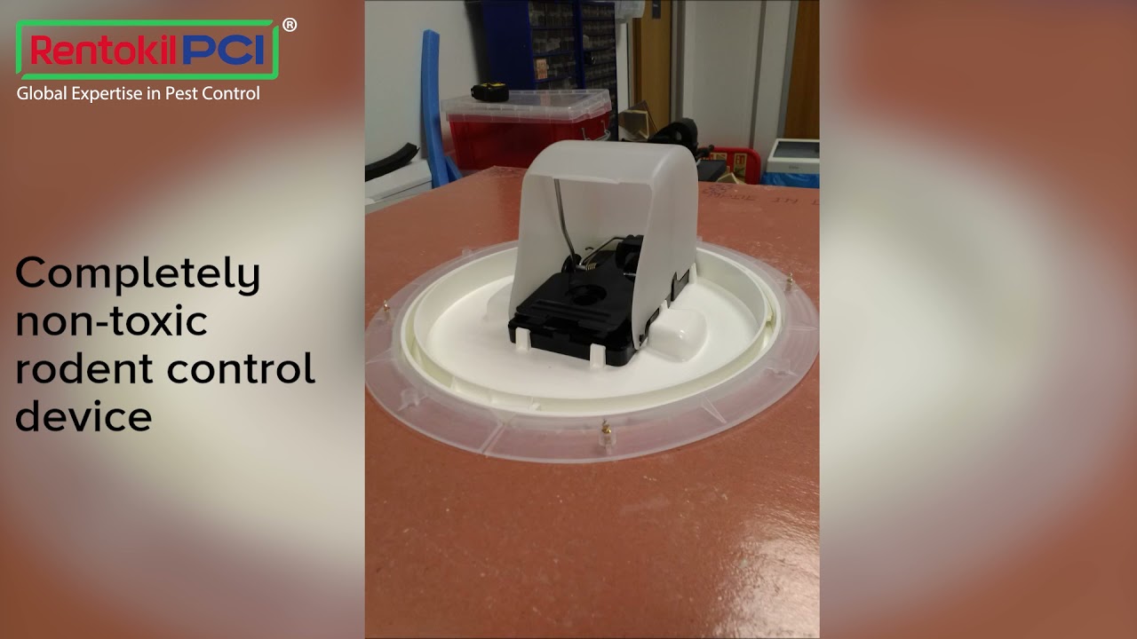 Rentokil PCI Launches Rat Hatch For Commercial Buildings┃Innovation In ...