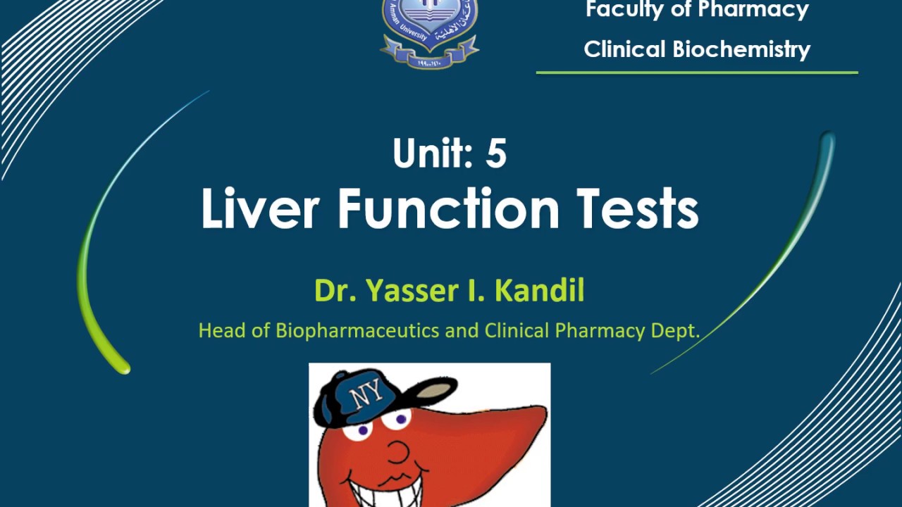 14- Liver Function Tests by Dr. Yasser Kandil - YouTube