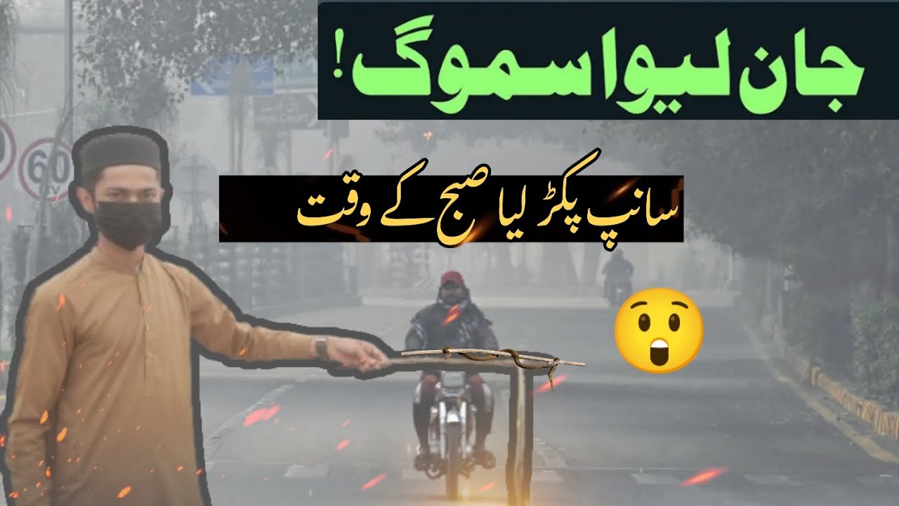 Sanp Ko Mara Aj | Smog In Pakistan | Smog News Today | Snake Video ...