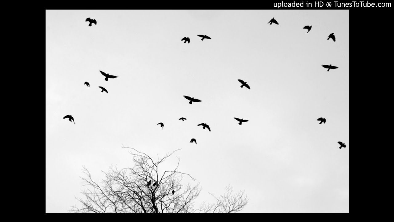 CROW GANG 187 CL - YouTube