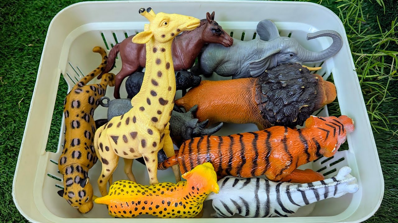 The Ultimate Zoo Challenge | Guess the Wild Animal Before It Roars ...