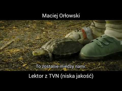 Sonic – Lektor Piracki vs Lektor z TVN vs Dubbing