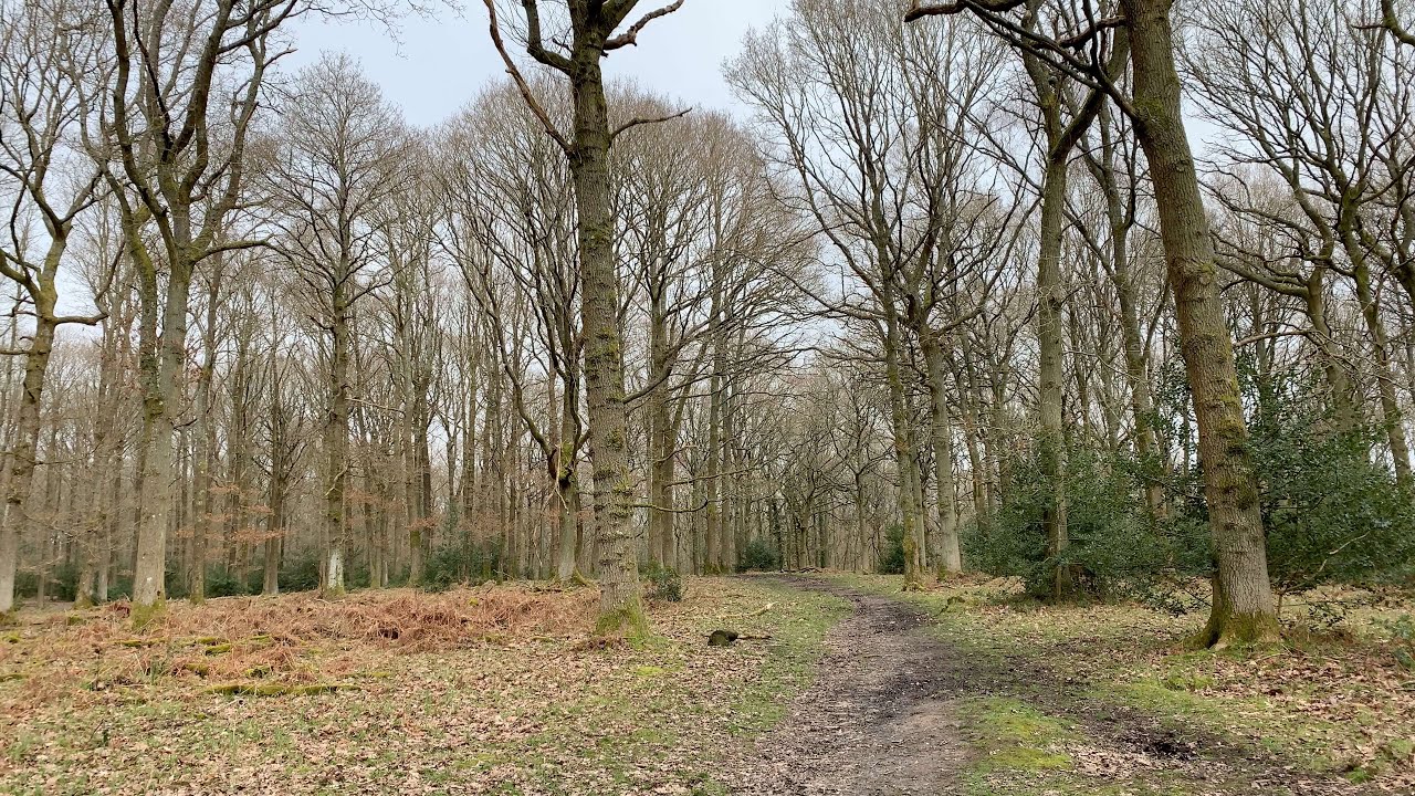 Silchester Walk - YouTube