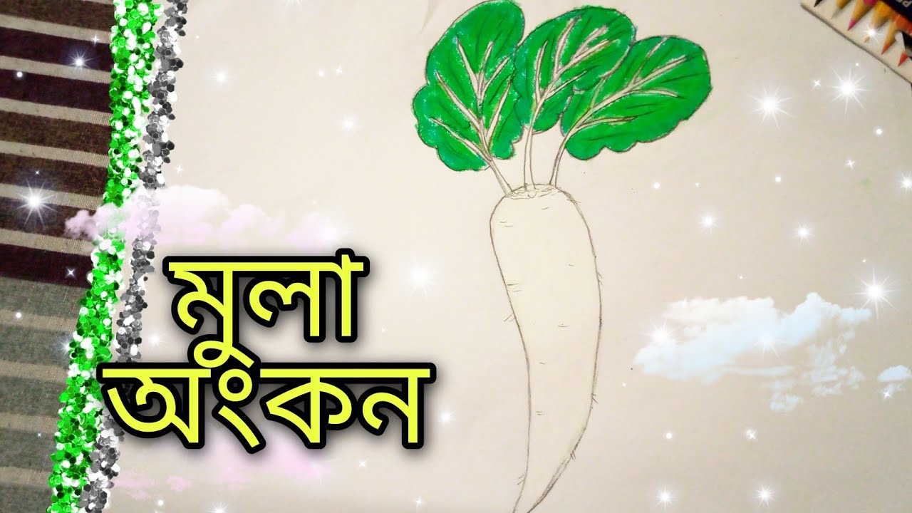 How to draw beautiful Radish drawing/pencil draw/kids draw/easy ...