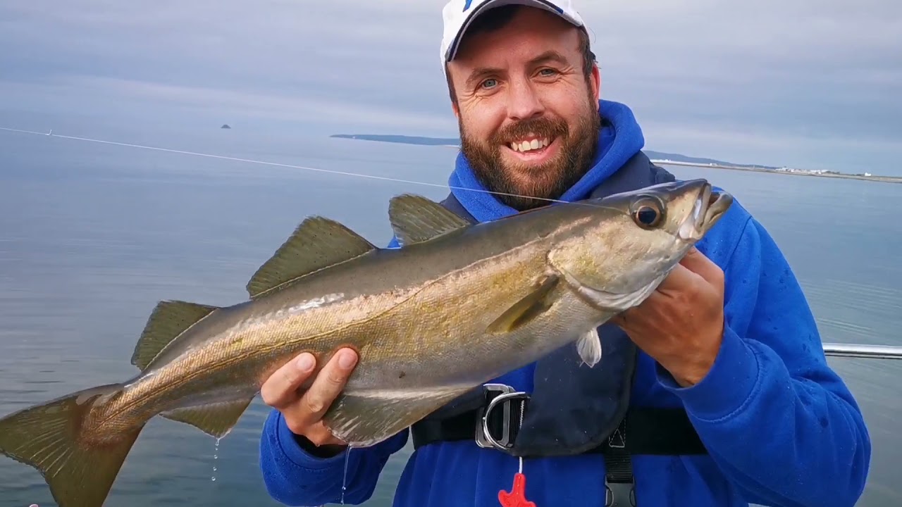 October pollack lure fishing - YouTube