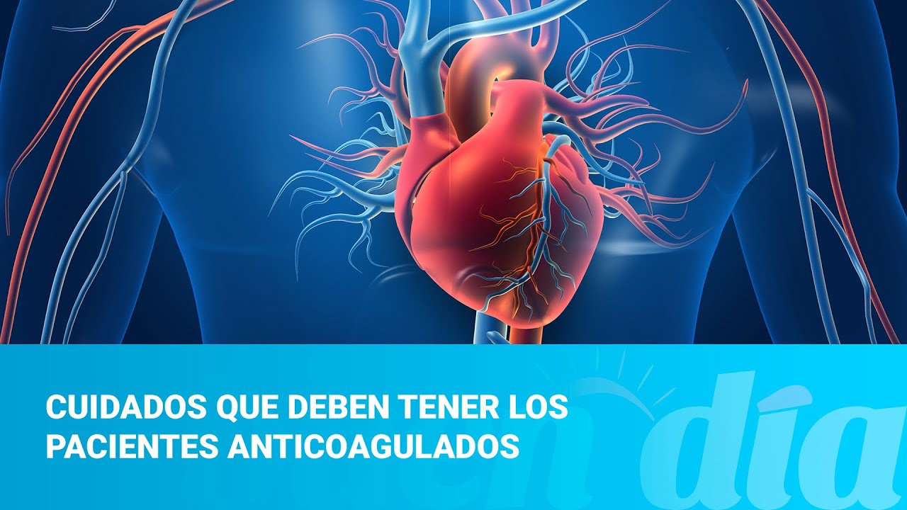 Cuidados que deben tener los pacientes anticoagulados - YouTube