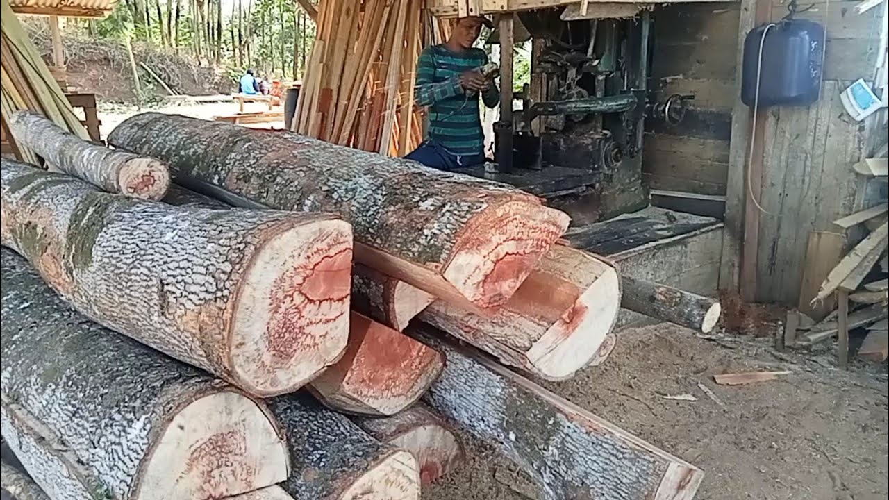 pembuatan bahan rumah dari kayu Bayur - YouTube