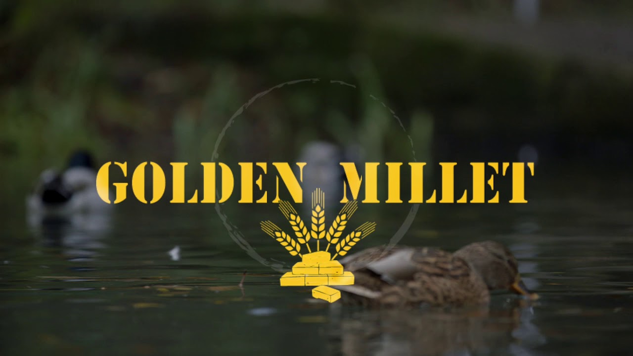 Golden Millet Ad - YouTube