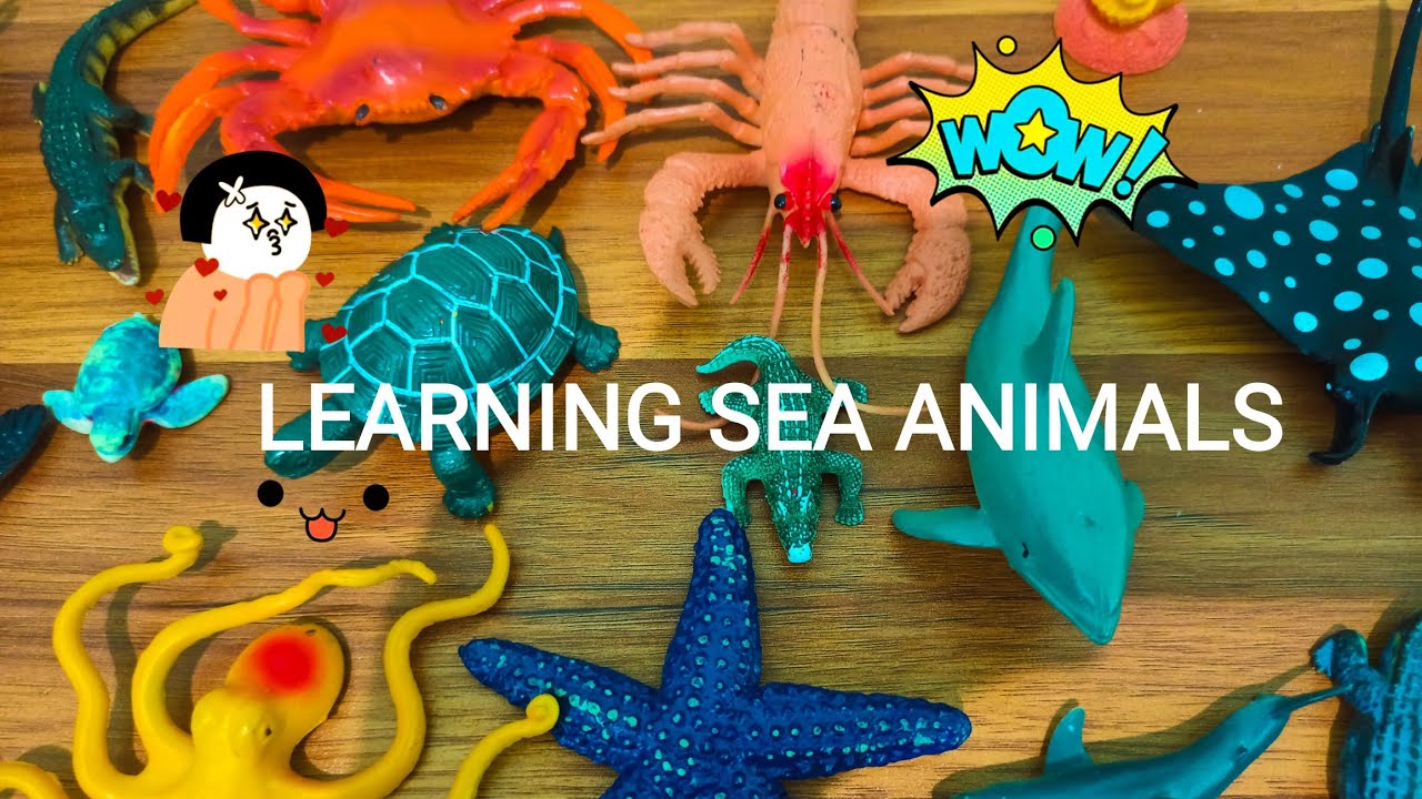 Play Hide and Seek with Sea Animals Toys (ide Bermain belajar hewan ...