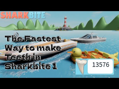 The Fastest Way to Make Teeth In Sharkbite 1 | 2023 - YouTube