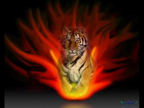 vili resnik-spomni se name.wmv