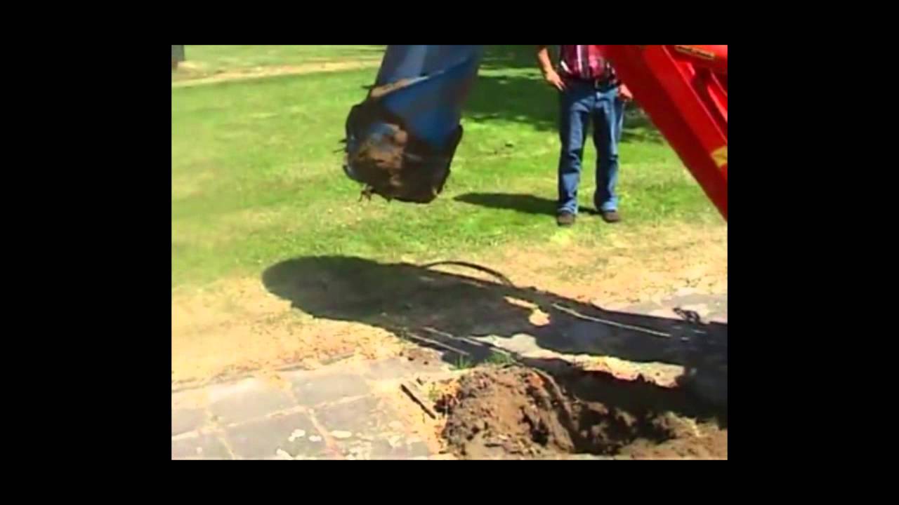 Rotor Speedy With Cylinder For Easy Stump Removal - YouTube