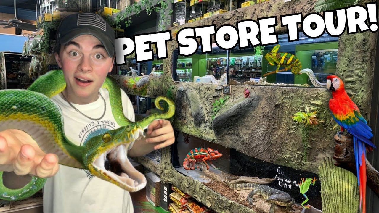 VISITING an EXOTIC PET STORE!!! (INSANE) - YouTube