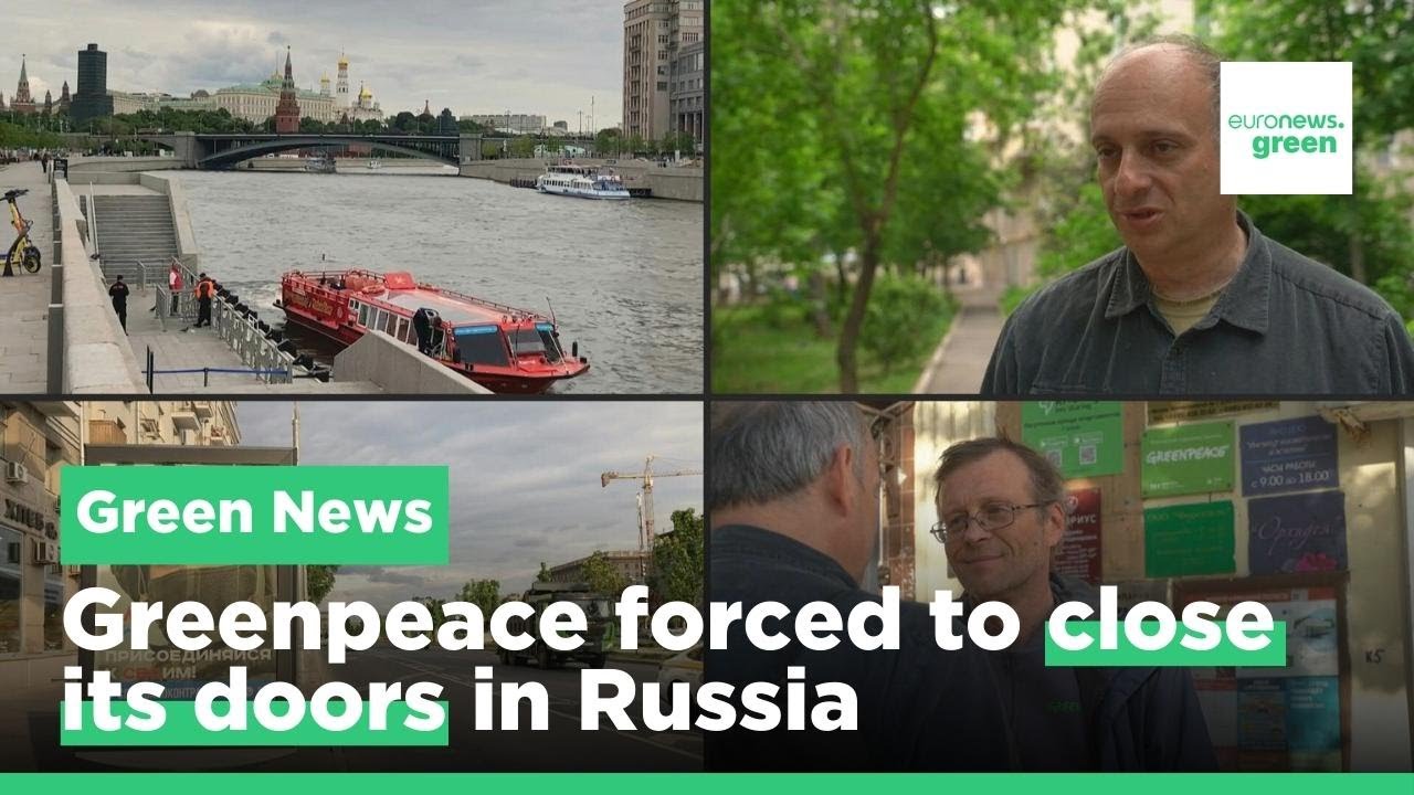 Greenpeace exits Russia. Where does that leave the country's nature ...