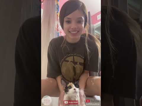 Routines ✨🎉 bathe the cat