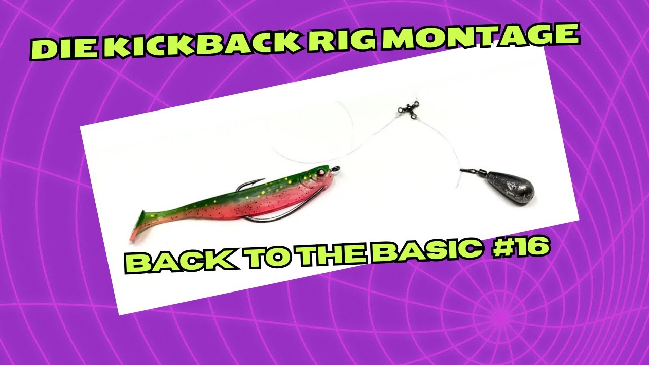 Back to the Basic Teil 16. Das Kickback Rig. Montage und Erklärung ...