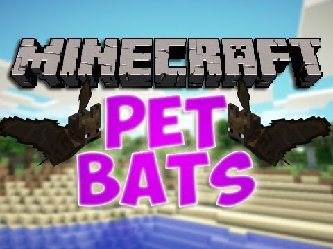 Minecraft Mod | Episode 723 | PET BATS | iPodmail | 1.4.2 - YouTube